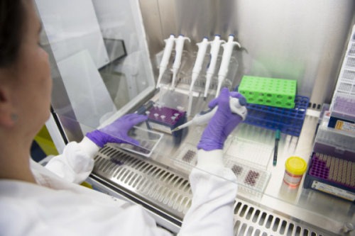 Charity funds new Harefield Clinical Research Facility | Royal Brompton ...