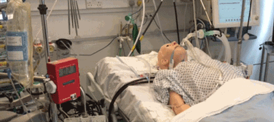 Simulation models | Royal Brompton & Harefield hospitals